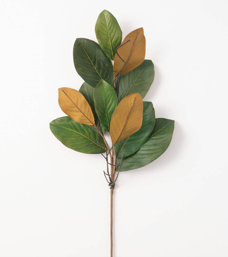 Magnolia Leaf Spray – Treehouse On Main